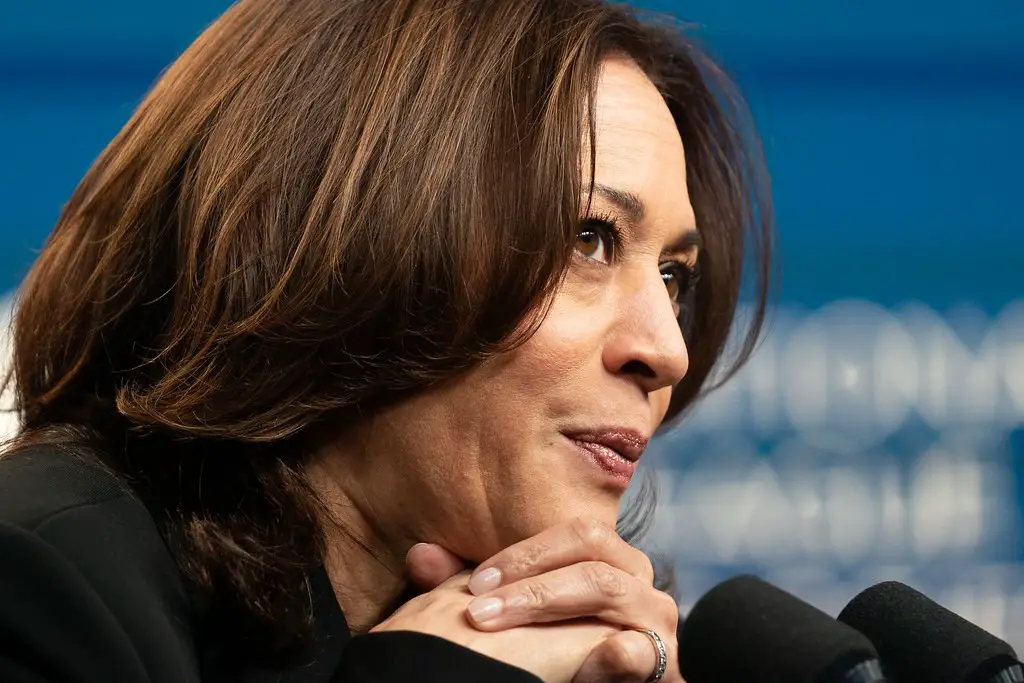 DNC Insider Admits Kamala Harris Unlikely to Win This Year ...