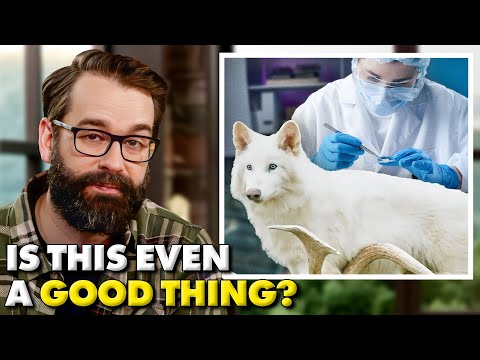 Scientists Resurrect Killer Wolves: Are We Safe? - Conservative ...