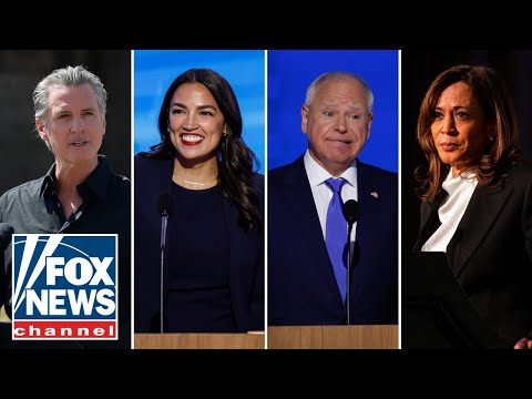 Democrats in Disarray as Leadership Contender Remains Elusive ...